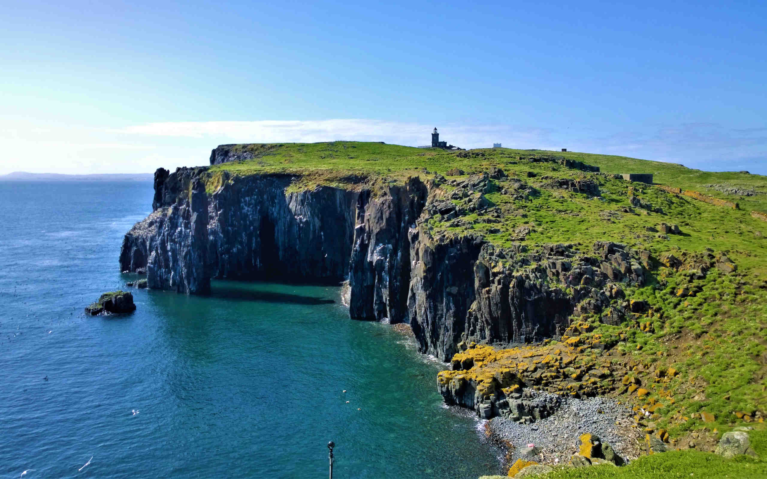 Isle Of May Boat Trips | Things To Do | Woodside
